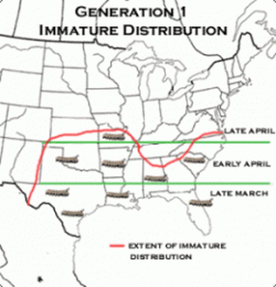 Life Cycle • Monarch Joint Venture