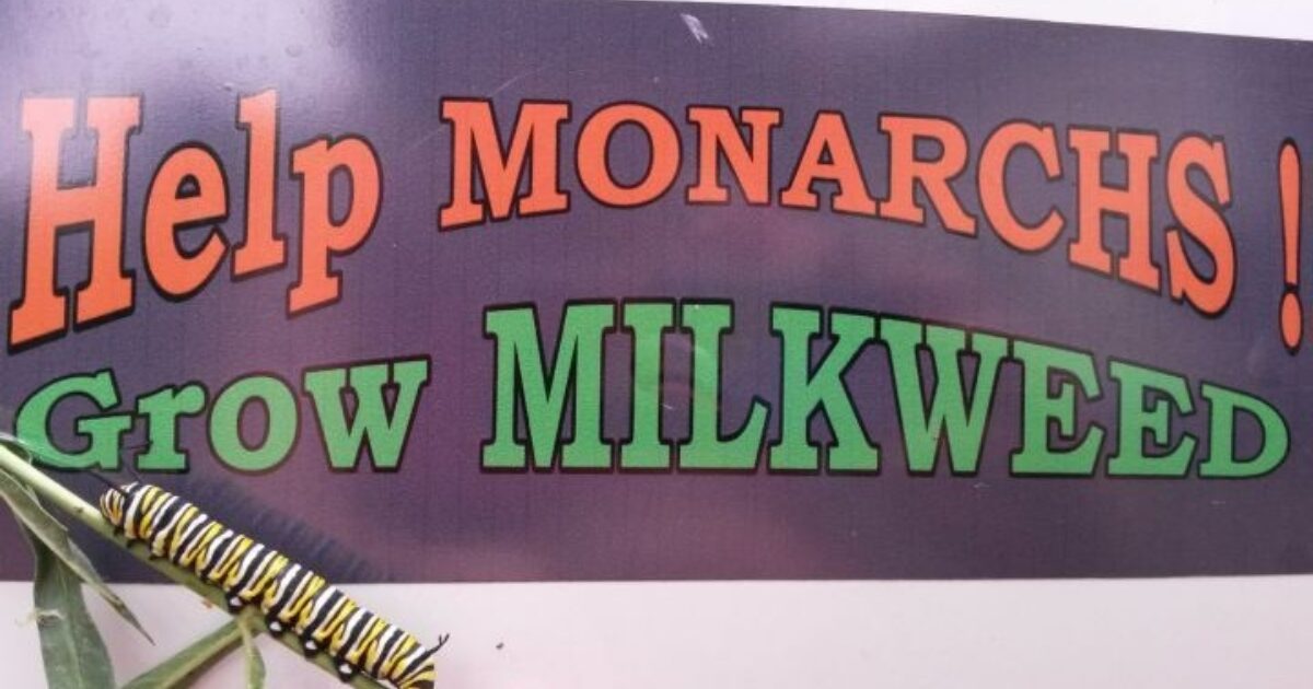 Help Monarchs Grow Milkweed Sign • Monarch Larva Monitoring Project